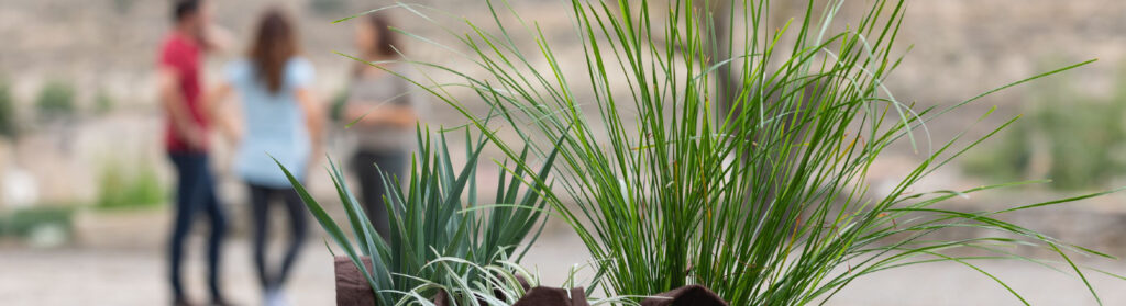 ¿Quiénes Somos? - Croppit